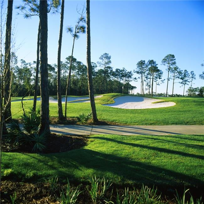 Sand Trap in A Golf Course Regatta Bay Golf Course & Country Club ...