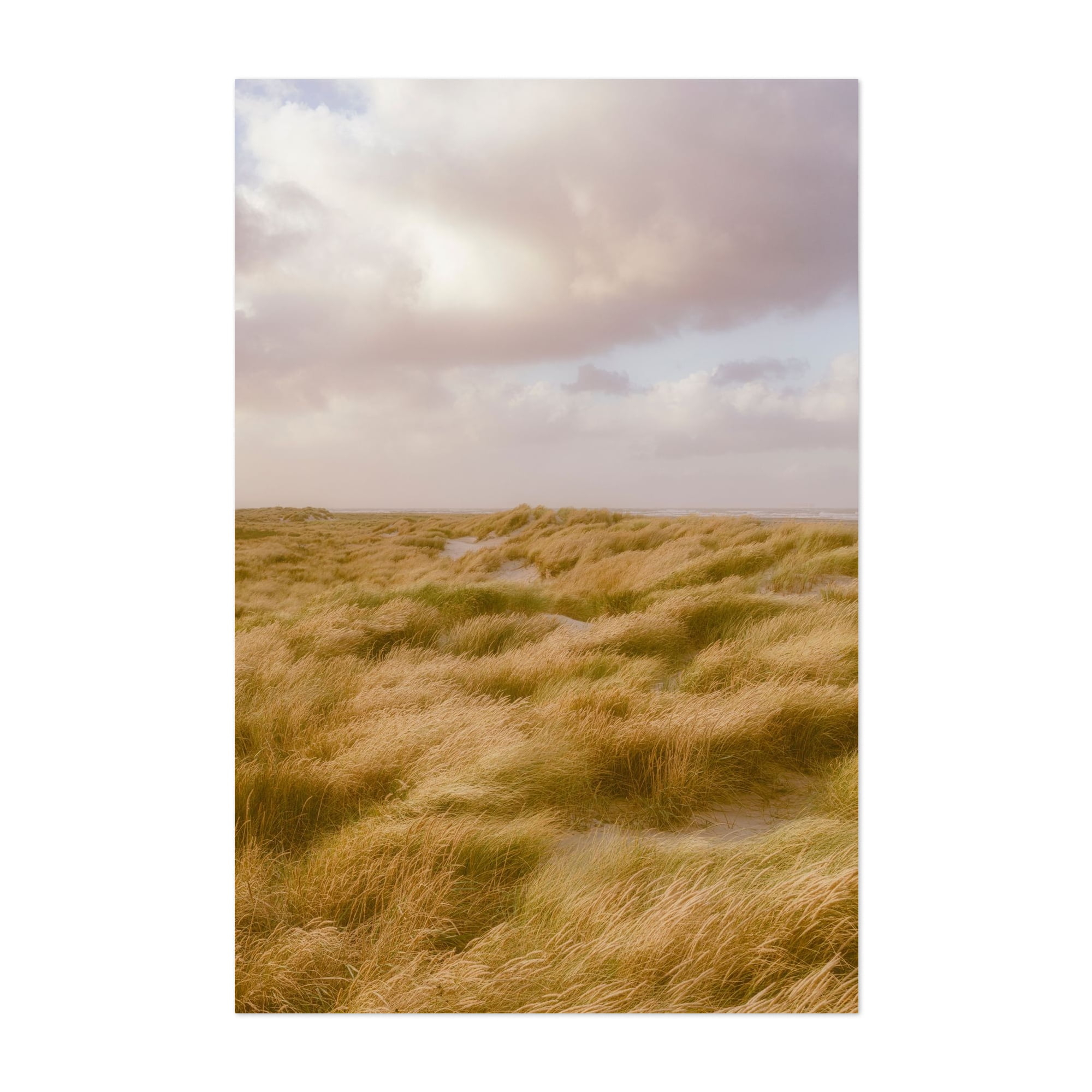 Sand dunes - Skagen Denmark Photography Coastal Beach Nature Landscape ...