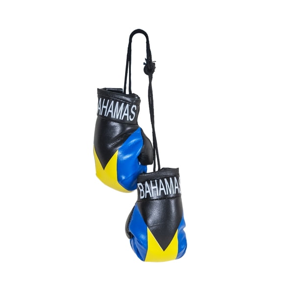 SandT Collection Country Flag Mini Boxing Gloves - Hanging Punching ...