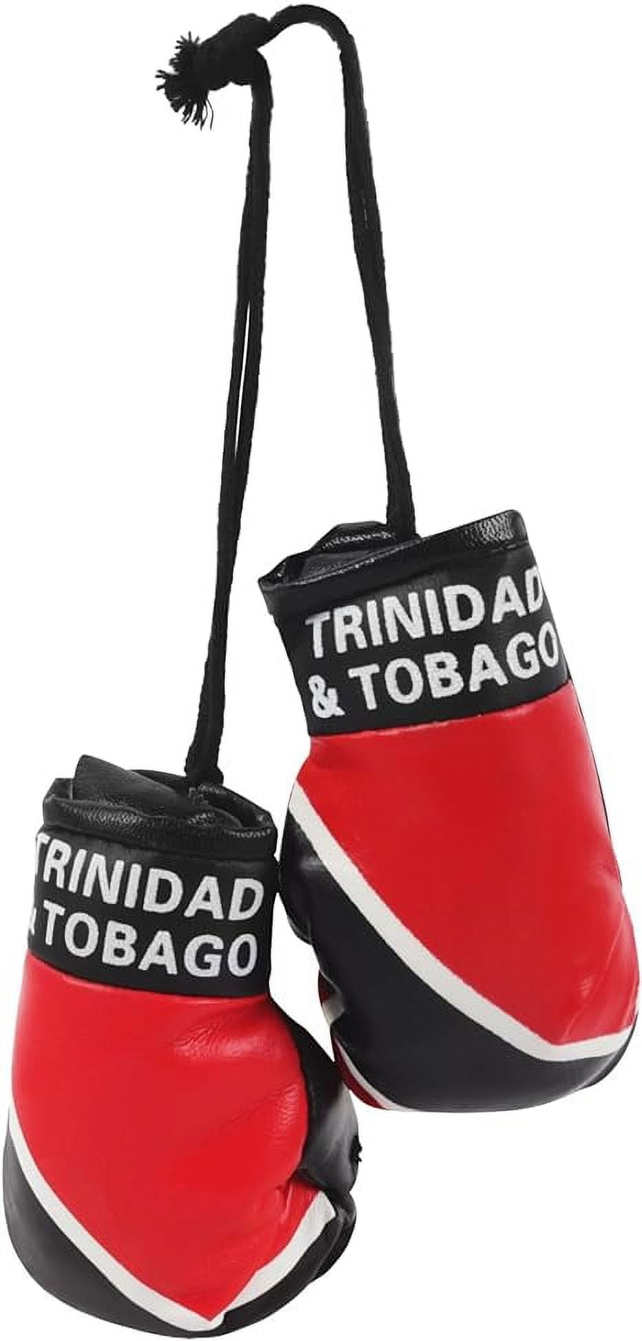 SandT Collection Country Flag Mini Boxing Gloves - Hanging Punching ...