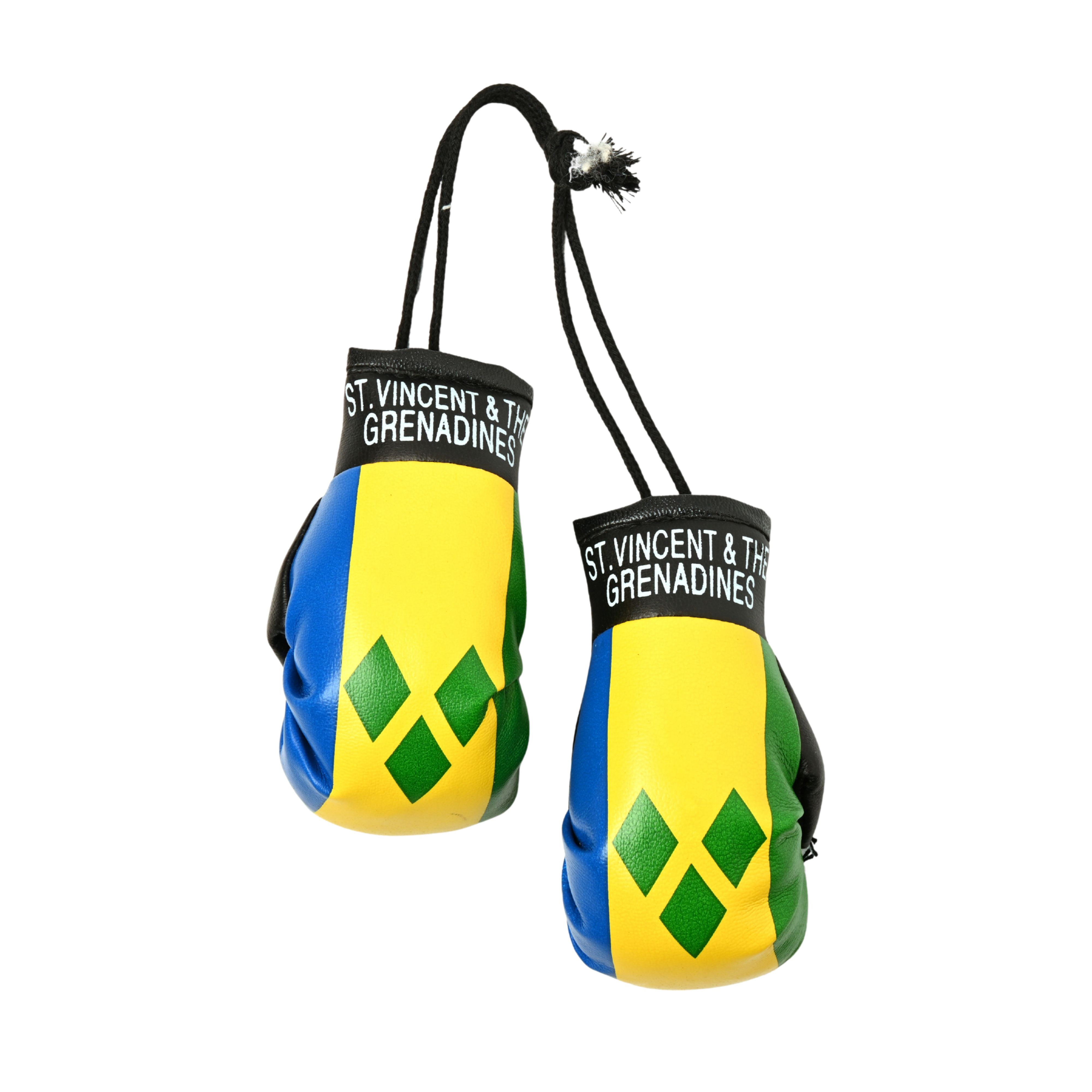 SandT Collection Country Flag Mini Boxing Gloves - Hanging Punching ...