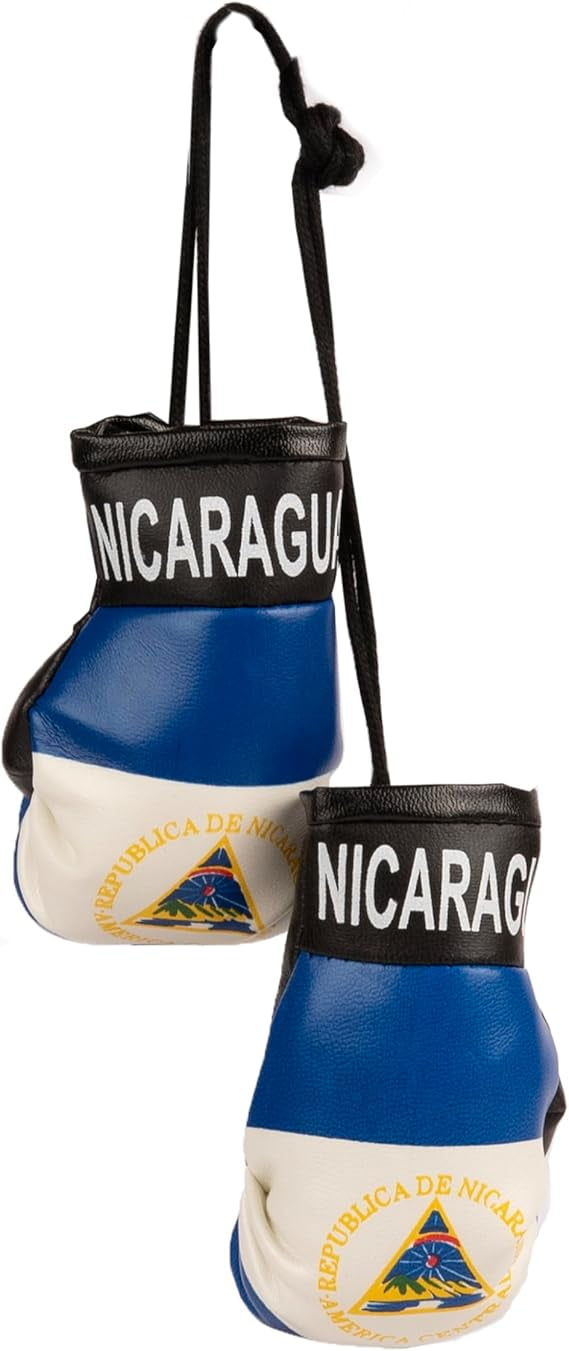 SandT Collection Country Flag Mini Boxing Gloves - Hanging Punching ...