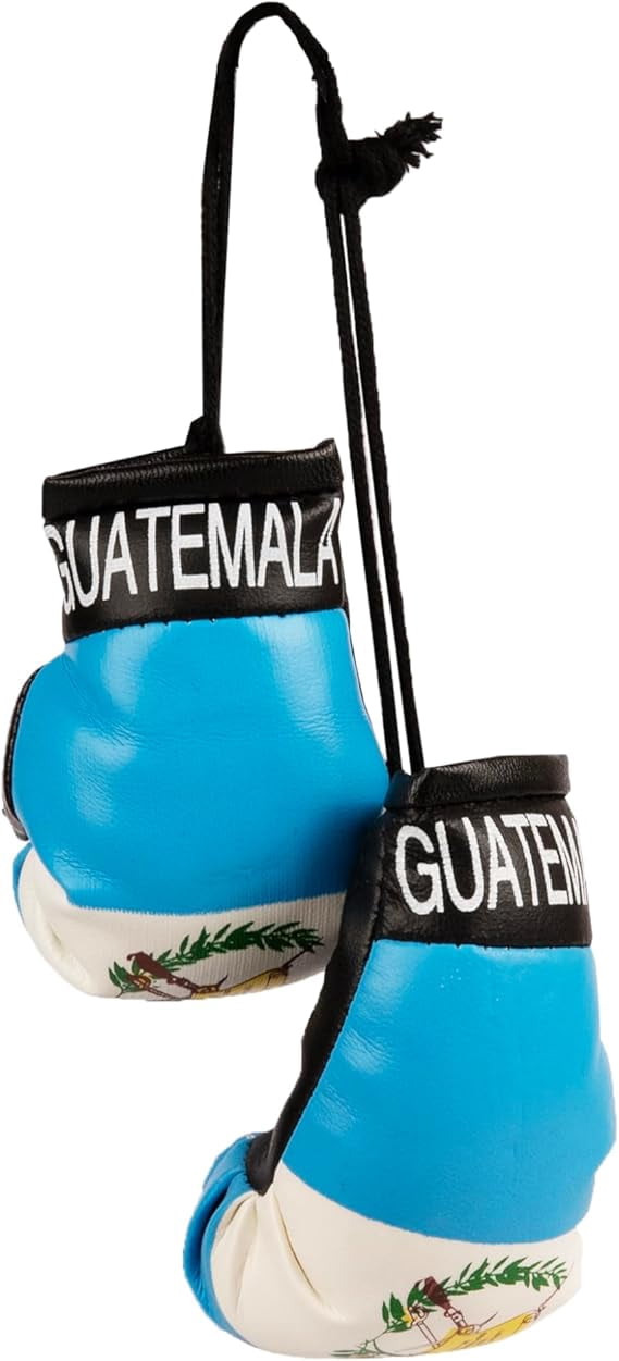 SandT Collection Country Flag Mini Boxing Gloves - Hanging Punching ...