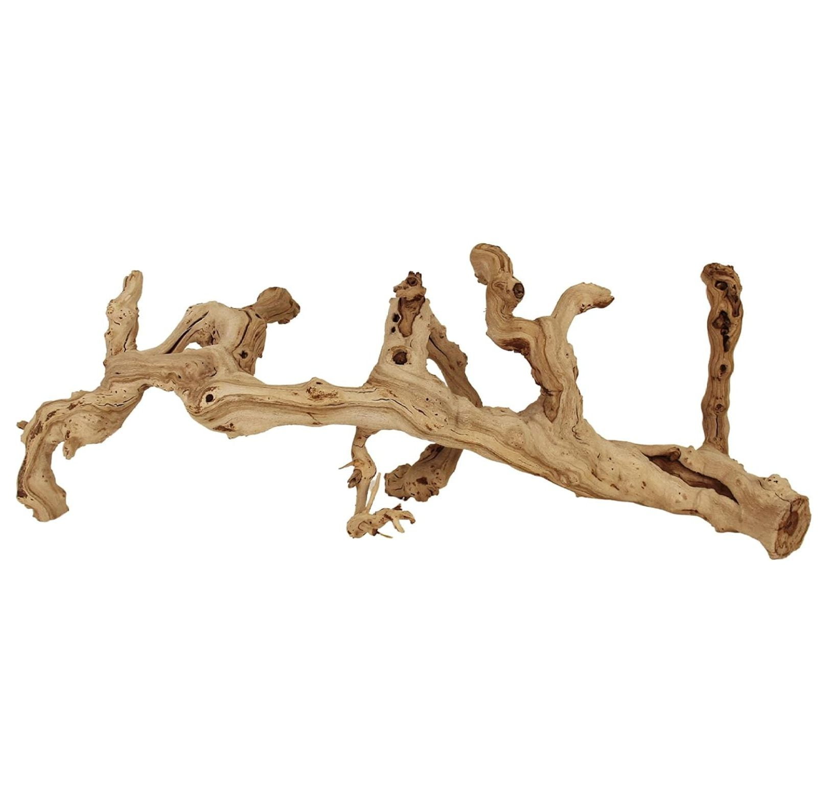 Sandblasted Natural California Grapevine Grapewood | Decorative Grape ...