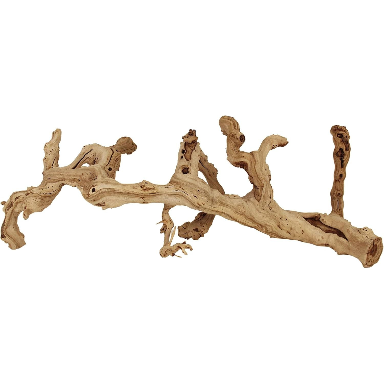 Sandblasted Natural California Grapevine Grapewood | Decorative Grape ...