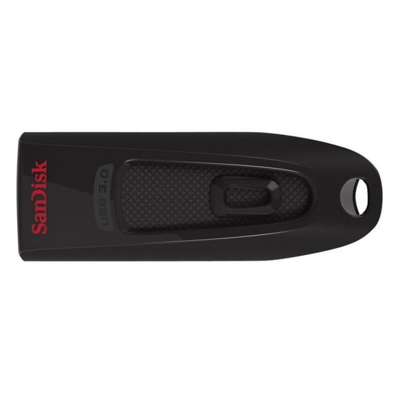 Password Protected 128GB Sandisk Ultra USB 3.0 High Speed Flash Memory ...