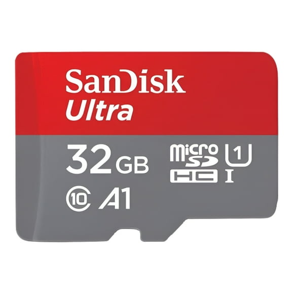 32 GB Micro SD Cards