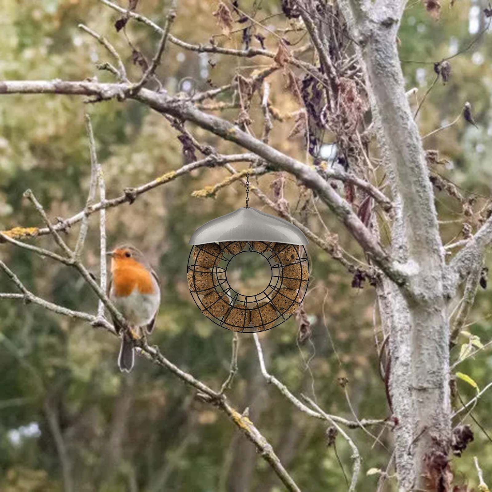 Sandistore Kids Feeder Craft Wild Bird Feeder Hanging Garden Yard ...