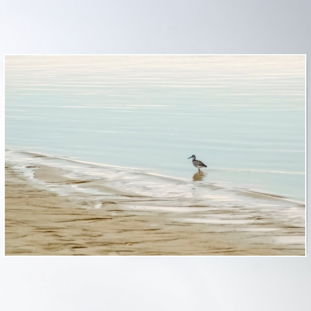 Sandpiper, Chatham Poster Wall Art, Modern Wall Decor For Living Room ...