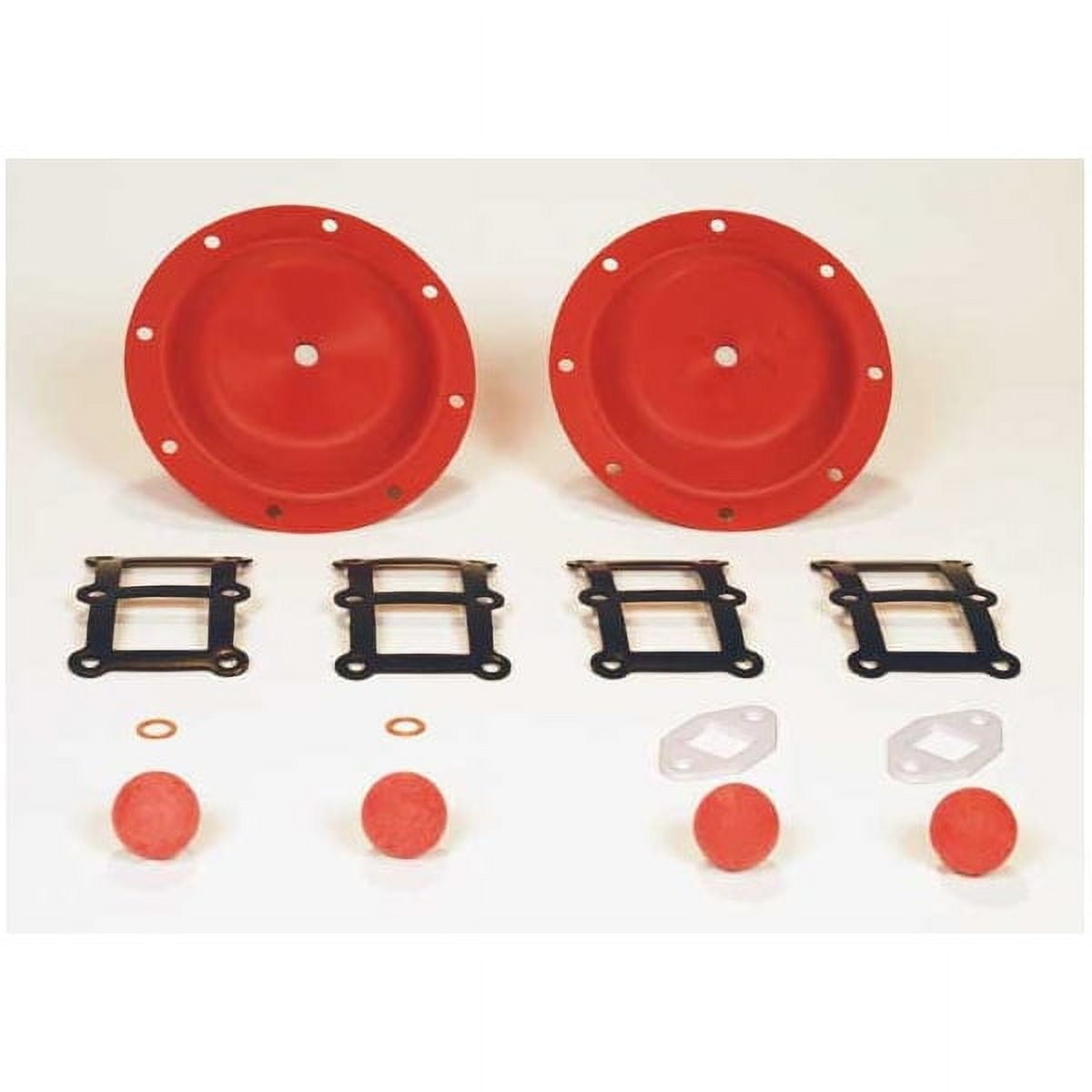 Sandpiper Diaphragm Pump Repair Kit,TPV,For 6WY84 476.309.354 - Walmart.com