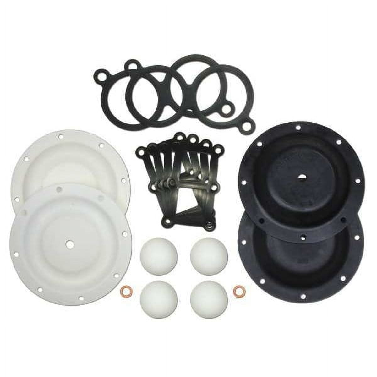 Sandpiper Pump Repair Kit,PTFE,For 29AU45 476.117.600 - Walmart.com