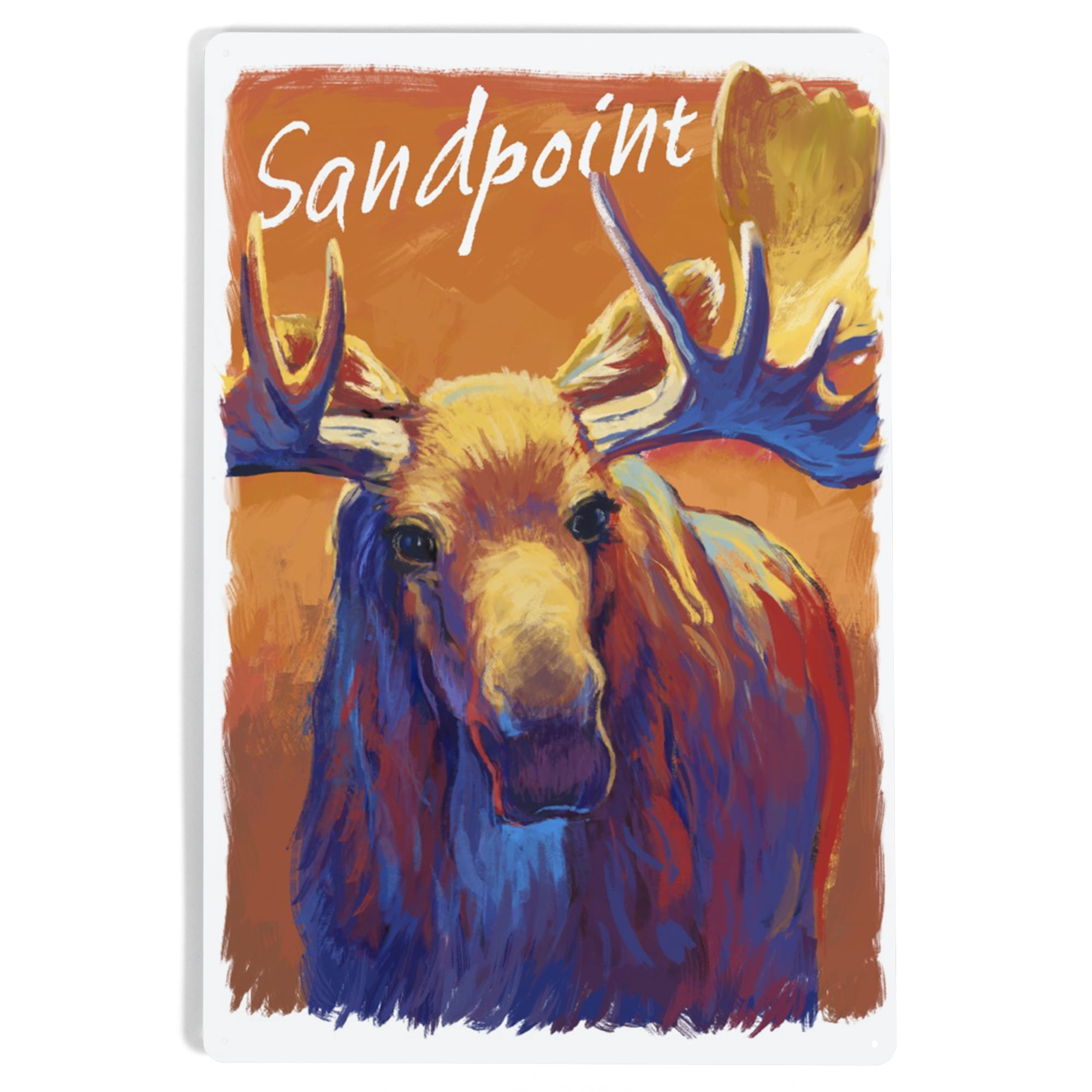 Sandpoint Idaho Moose Vivid 12x18 Aluminum Art Indoor Outdoor
