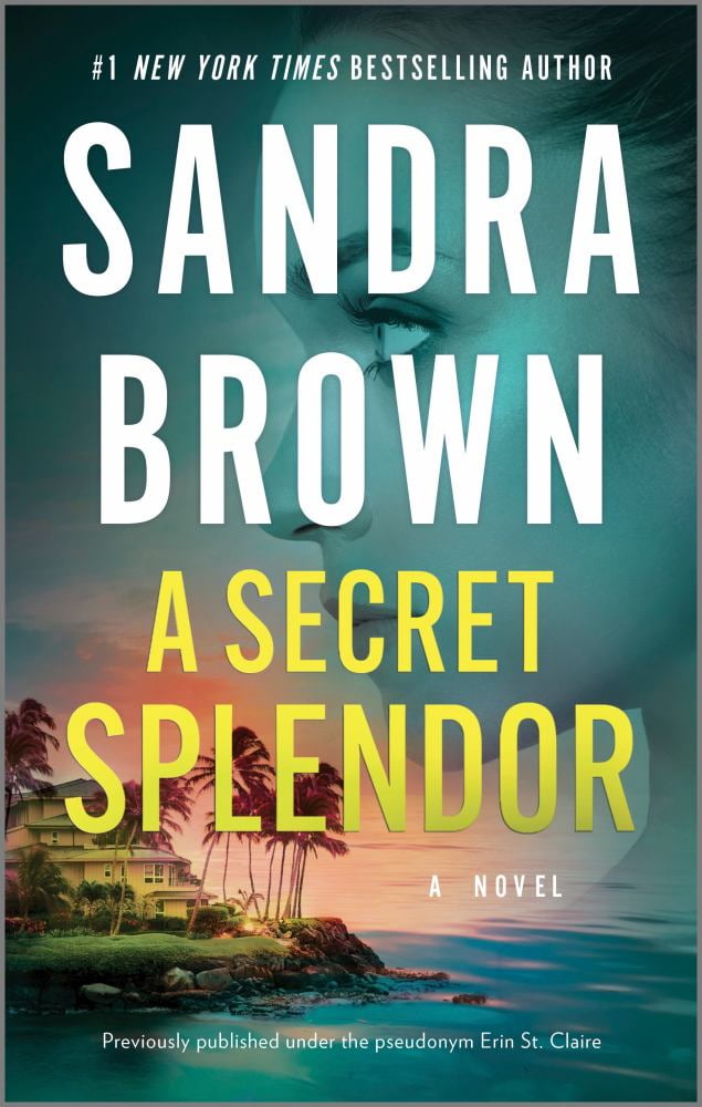 A Secret Splendor: A Novel (Paperback) - Walmart.com