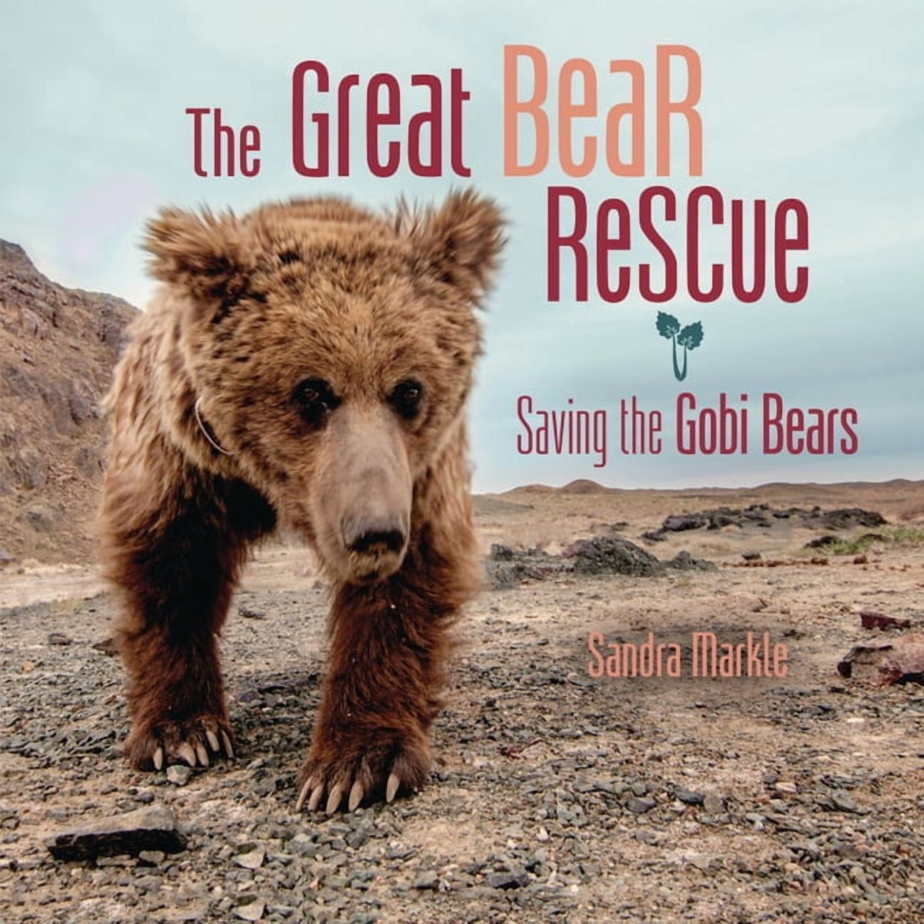Sandra Markle's Science Discoveries The Great Bear Rescue: Saving the ...