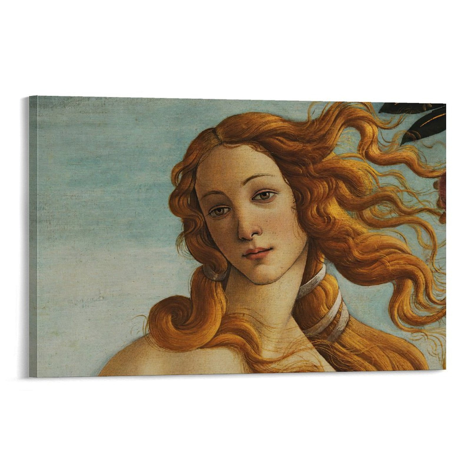 Sandro Botticelli Poster Birth of Girl Wall Art Artworks Canvas Poster ...
