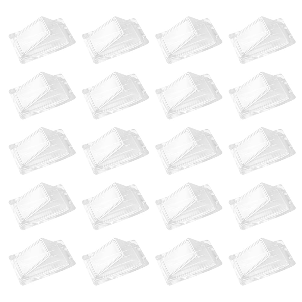 Disposable Triangle Plastic Sandwich Box Set for Takeout, Bakery and ...