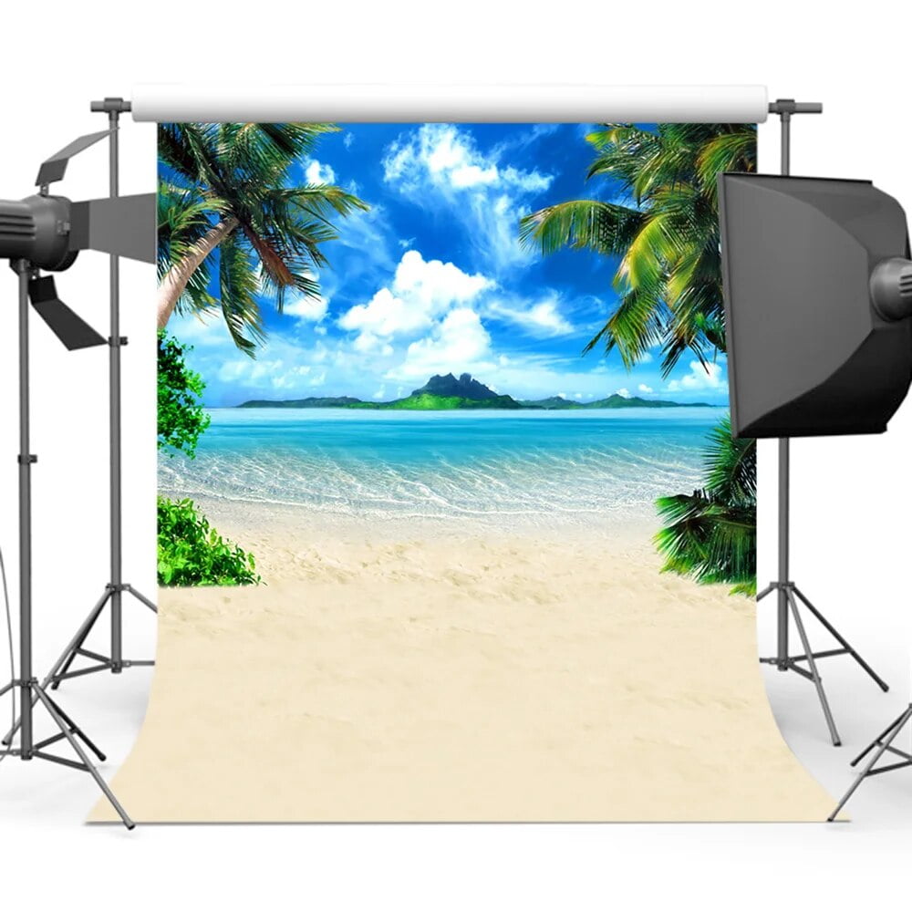 Sandy Beach Cocount Tree Background Blue Sky Sea Island Photography ...