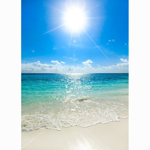 Sandy Beach Holiday Summer Digital Photography Backdrop Prop Coconut ...