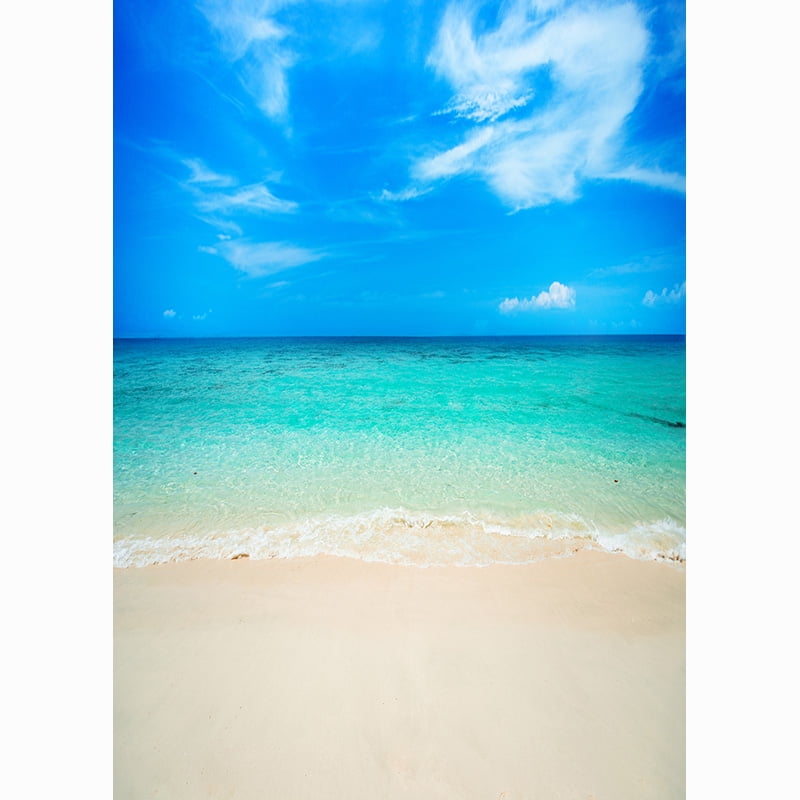 Sandy Beach Holiday Summer Digital Photography Backdrop Prop Coconut ...