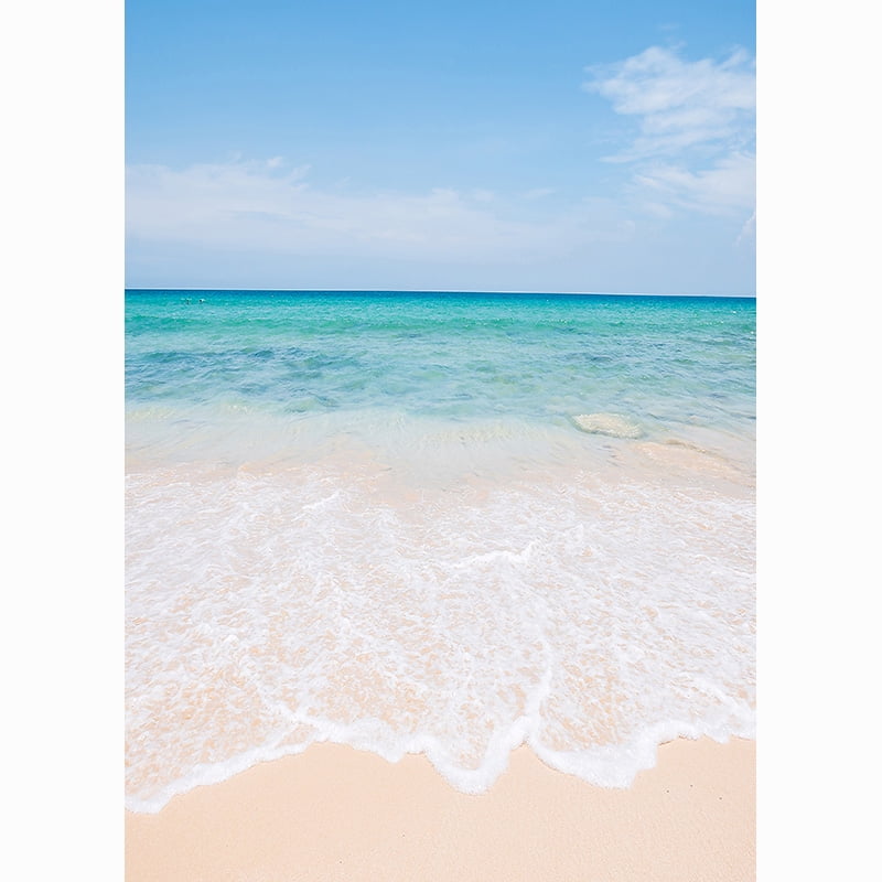 Sandy Beach Holiday Summer Digital Photography Backdrop Prop Coconut ...