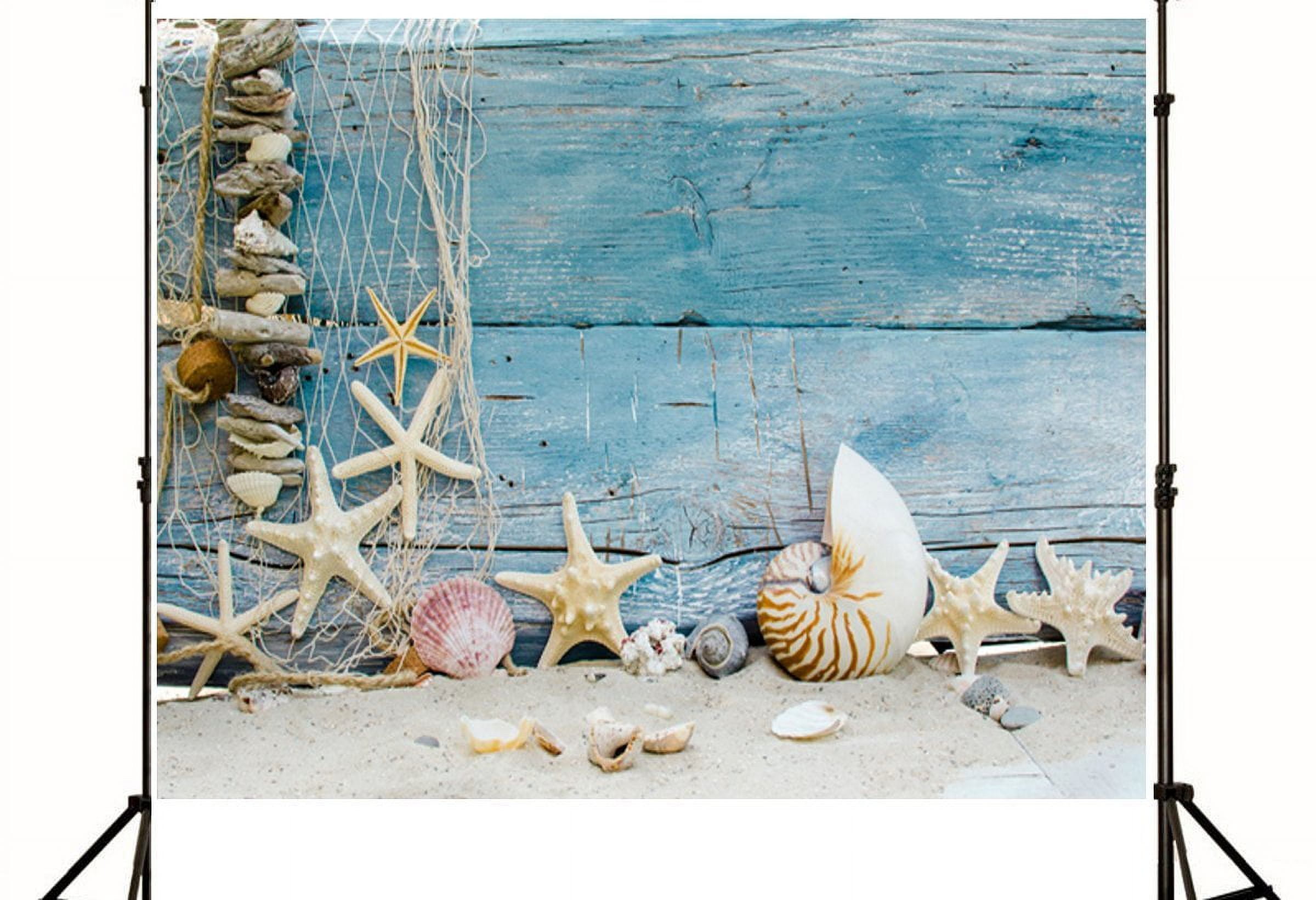 Sandy Beach Photography Backdrops Blue Wood Wall with Shell Background ...