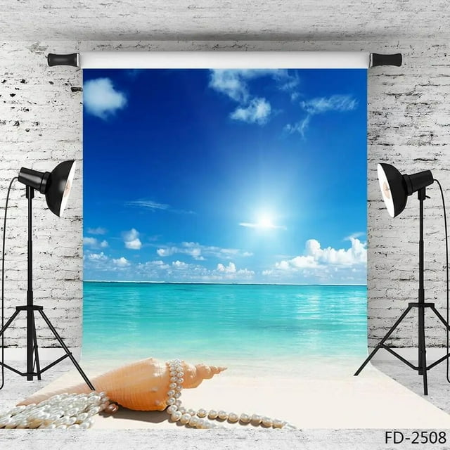 Sandy Beach Sea Seaside Shell Sun Blue Sky Scenery Backdrop Vinyl Cloth ...