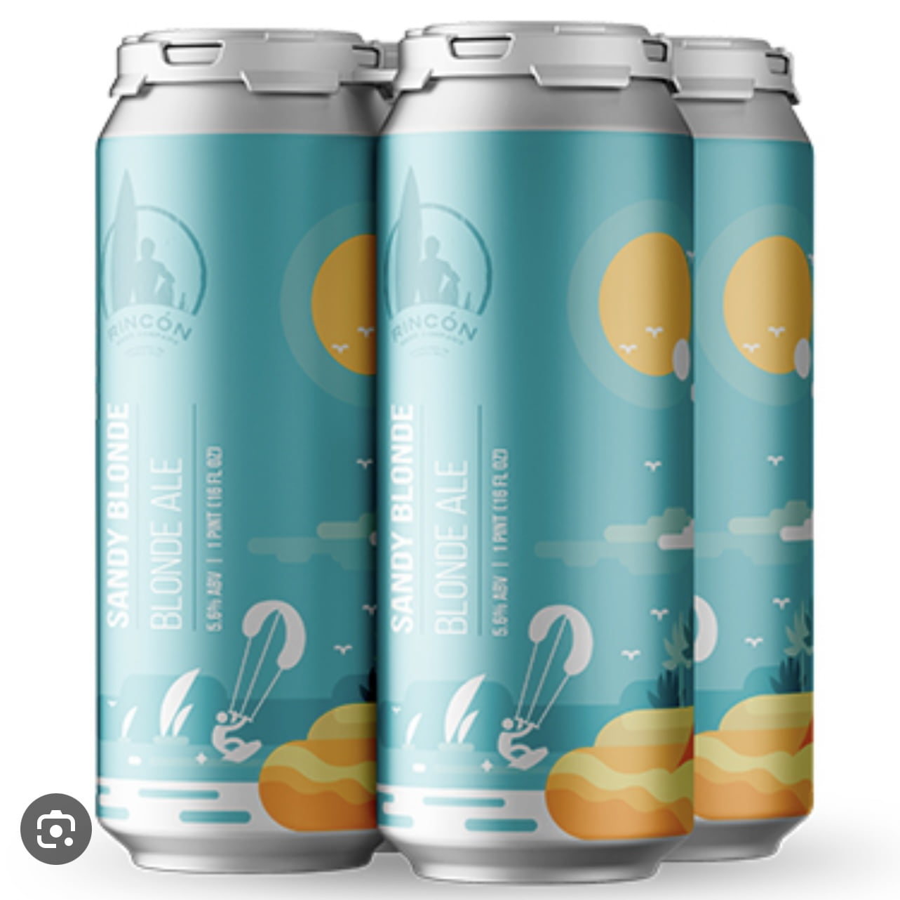 Sandy Blonde Ale Craft Beer 16oz Cans 4pk 5.6% ABV - Walmart.com