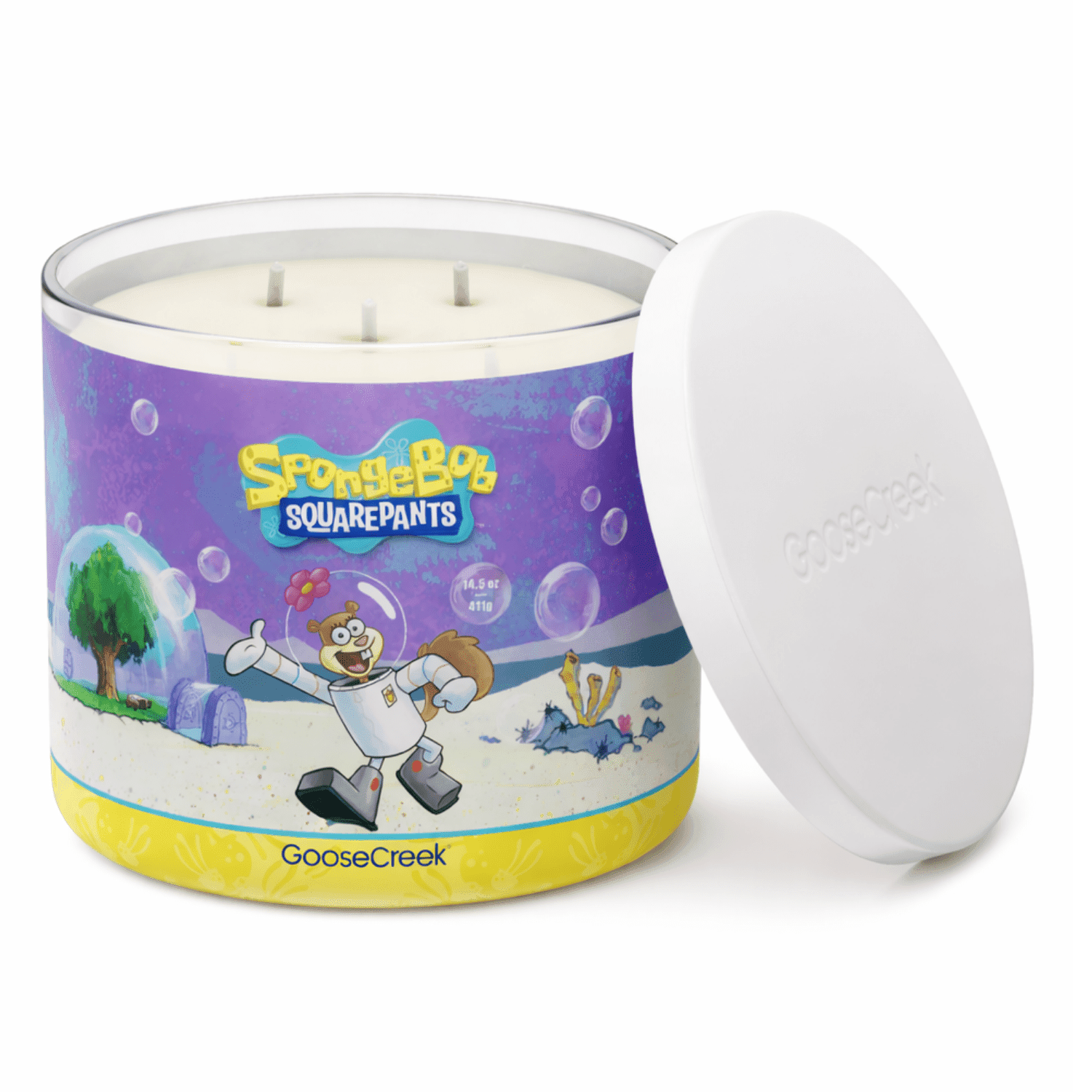 Sandy Cheeks 3-Wick Scented Candle, Glass Jar - Walmart.com