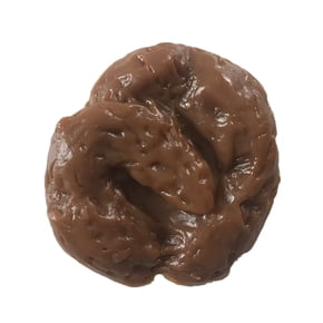 Turd Poop
