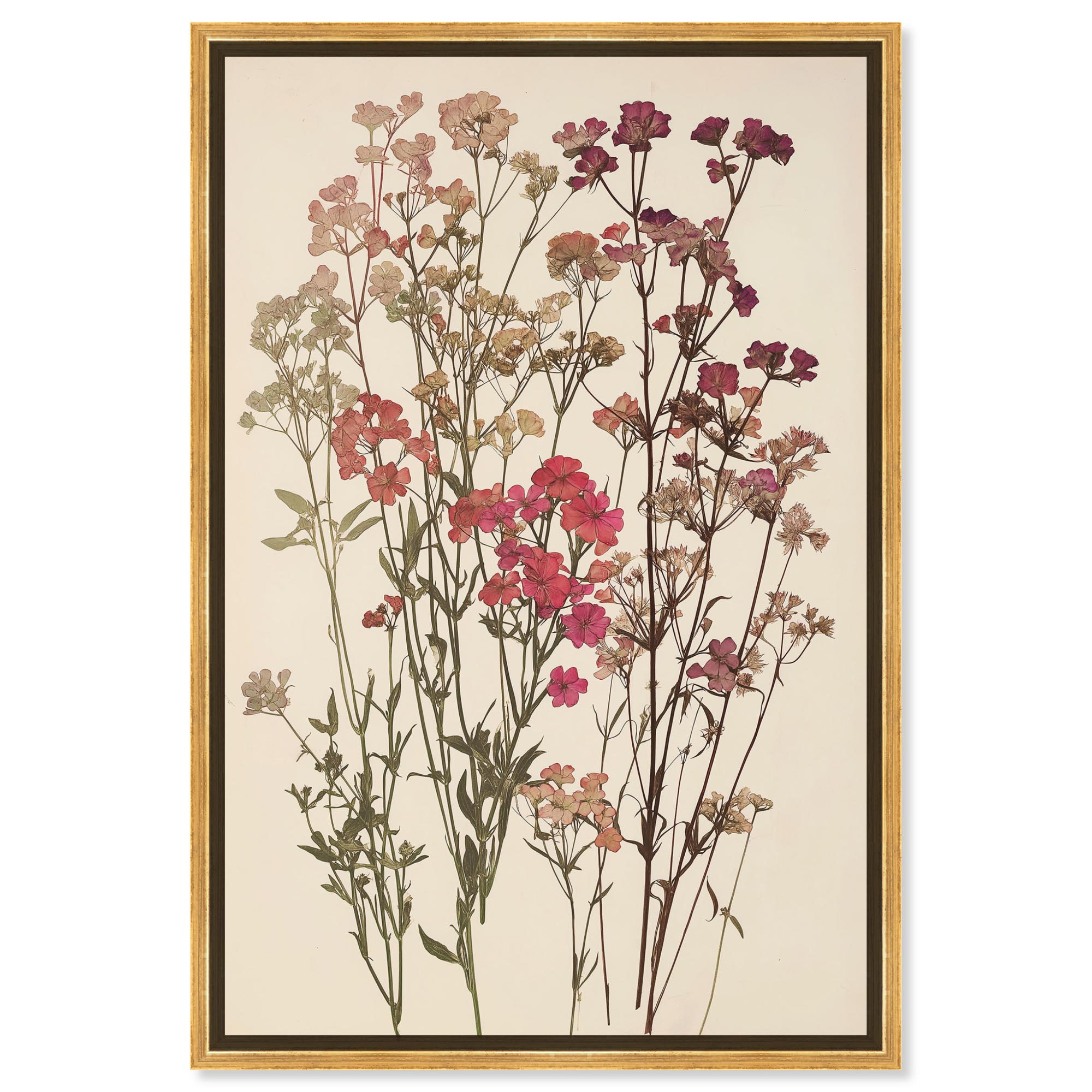 Sanguine Blossoms Canvas Farmhouse Floral Art by Art Remedy, Gold Frame ...