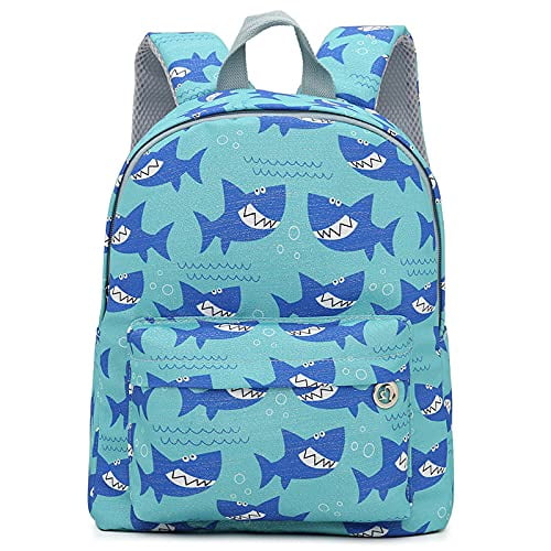 Sanilinwild Cute Kawaii Backpacks for Kid - Toddler to Kindergarten ...