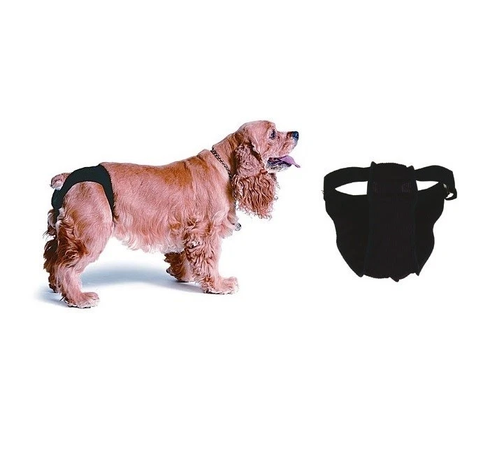 Sanitary Pants For Dogs - S - M - L - Female Dogs In Heat Or Older Dogs ...