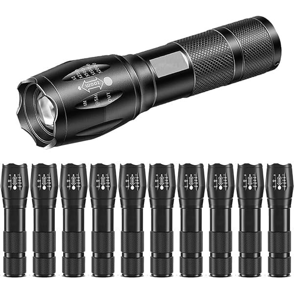 Sanlufa 10 Pack LED Flashlight, Bright Powerful Flash Light with 5 ...