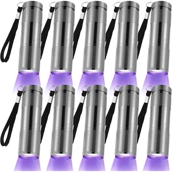 Sanlufa Roceei 10 Pieces UV Blacklight Flashlights, LED Light, Handheld ...