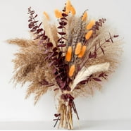 Dried Corn Stalk Bundle for Decor or Display - Corn Shucks with Ears ...