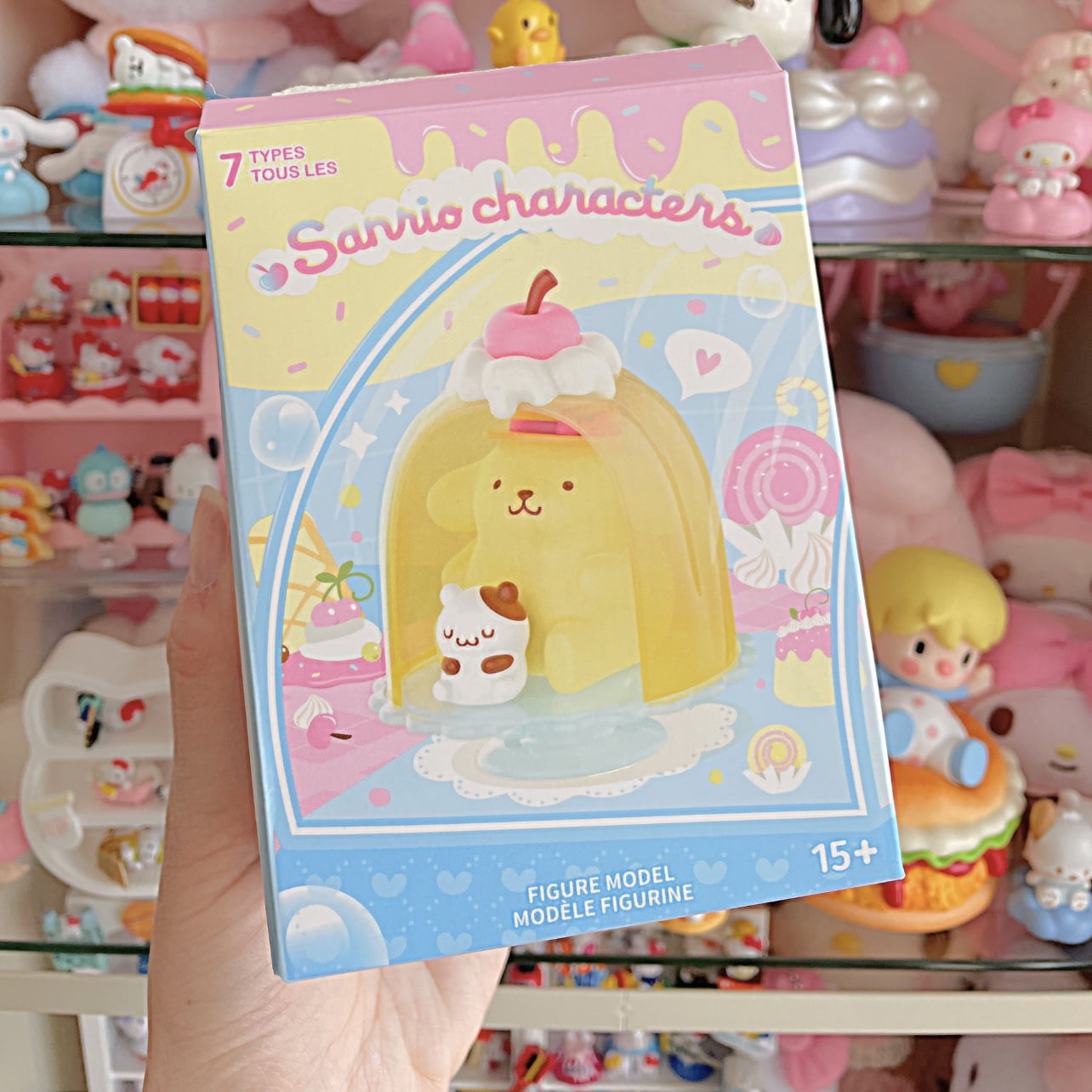 Sanrio Food Fun Series Box Blind Box My Melody Cinnamorollpochacco ...