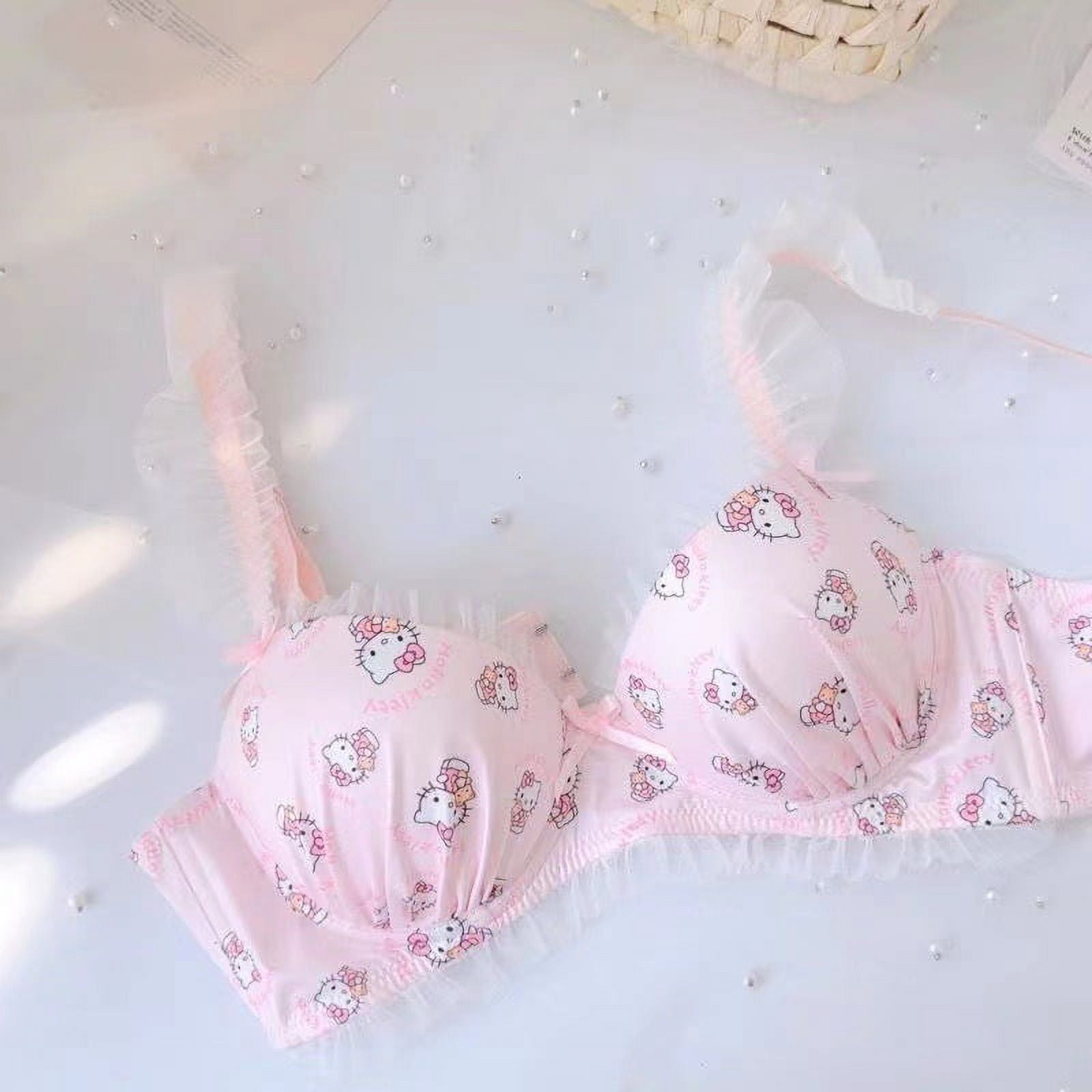 Sanrio Hello Kitty Bra Set Women Sexy Lace Kawaii Lingerie Set Porosity ...
