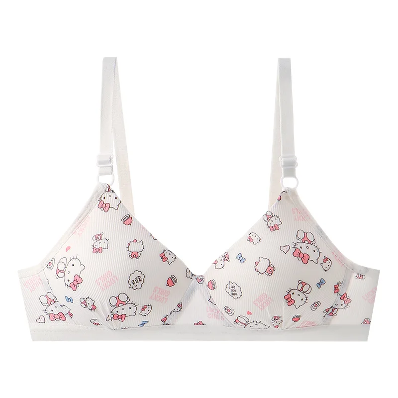 Sanrio Hello Kitty Underwear Kawaii Cartoon Sexy Bra No Wire Push Up ...