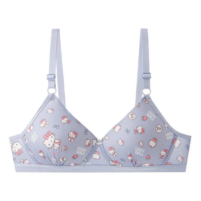 Sanrio Hello Kitty Underwear Kawaii Cartoon Sexy Bra No Wire Push Up ...