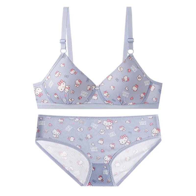 Sanrio Hello Kitty Underwear Kawaii Cartoon Sexy Bra No Wire Push Up ...