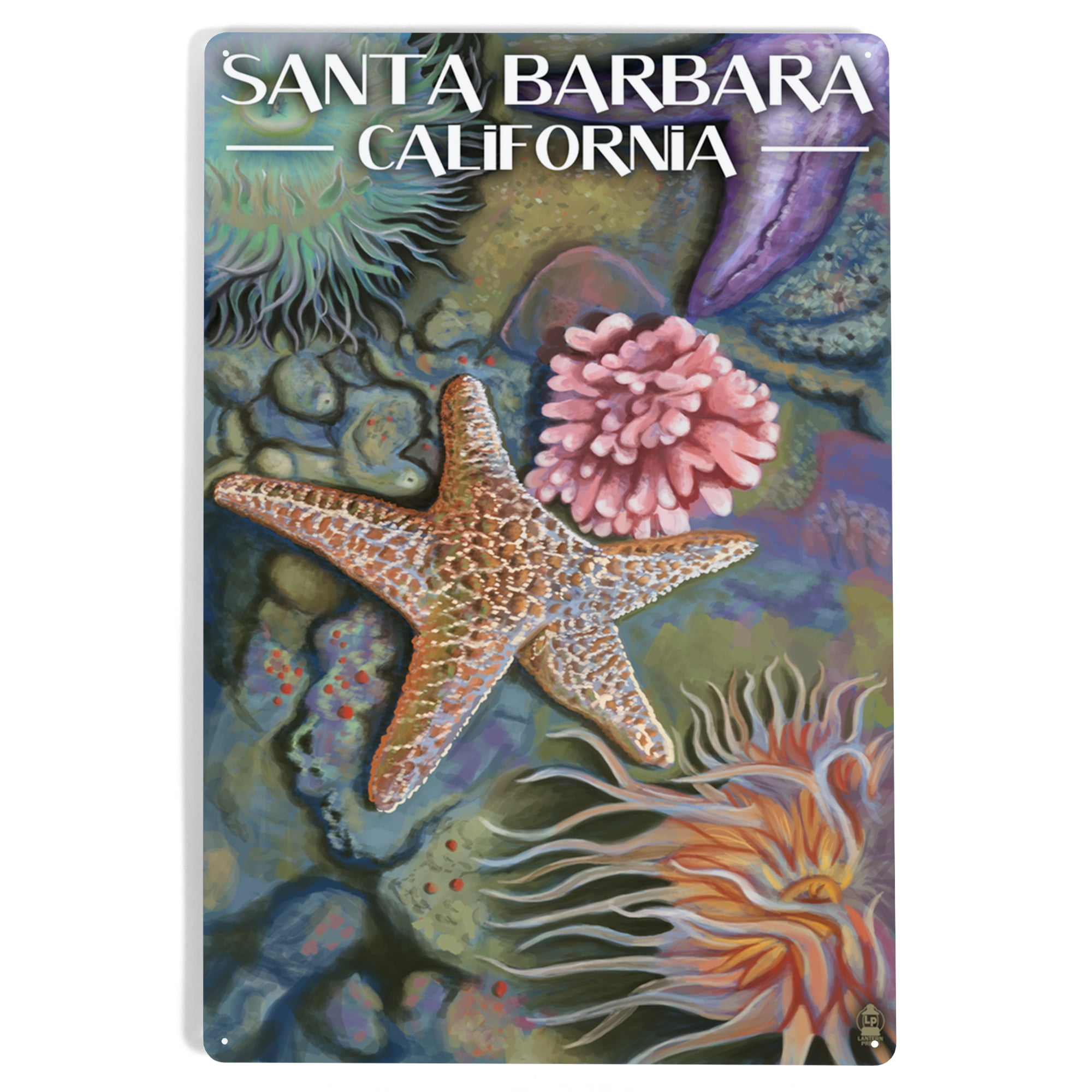 Santa Barbara, California, Tidepools (12x18 Aluminum Art, Indoor ...