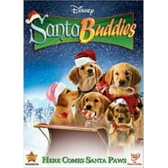 Disney's The Santa Clause - Heartwarming Holiday Comedy Movie (DVD ...