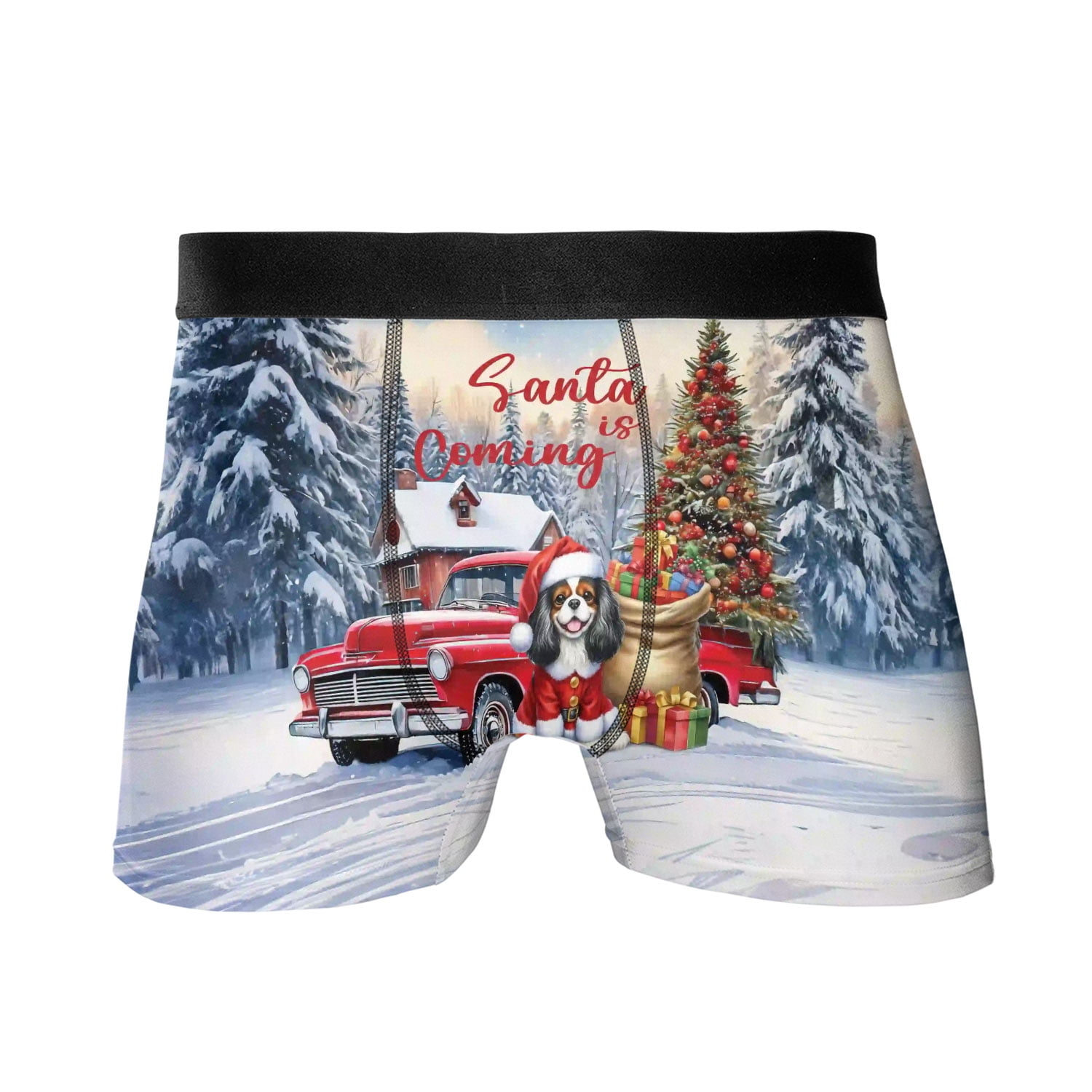 Santa is Coming Cavalier King Charles Spaniel Merry Christmas Xmas ...