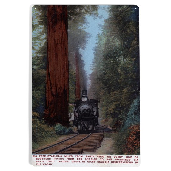 Santa Cruz, California, Big Tree Railroad Station (12x18 Aluminum Art ...