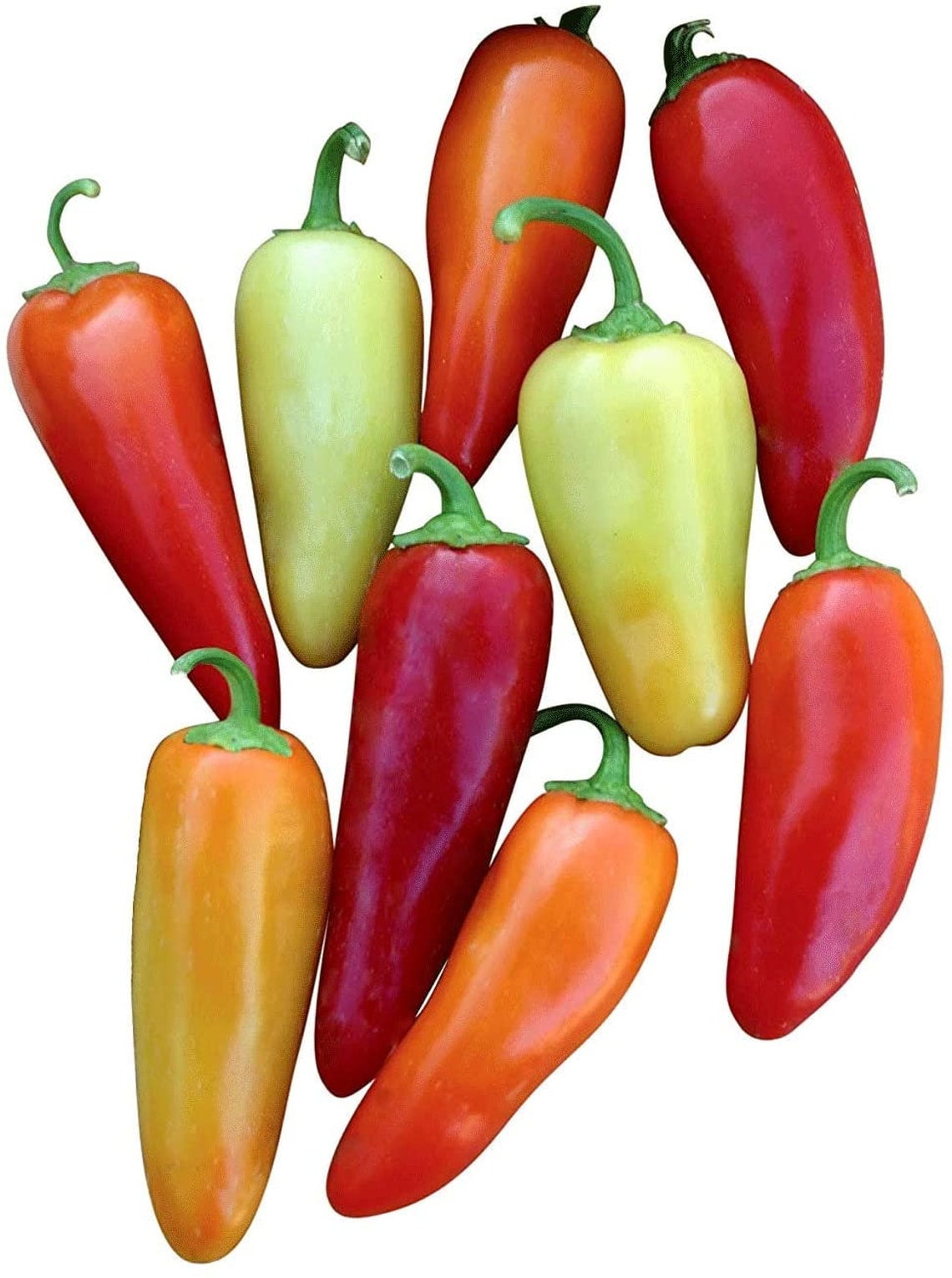 Sherwood's Seeds 10 Santa Fe Grande Guero Pepper Plant Seeds, Heirloom ...