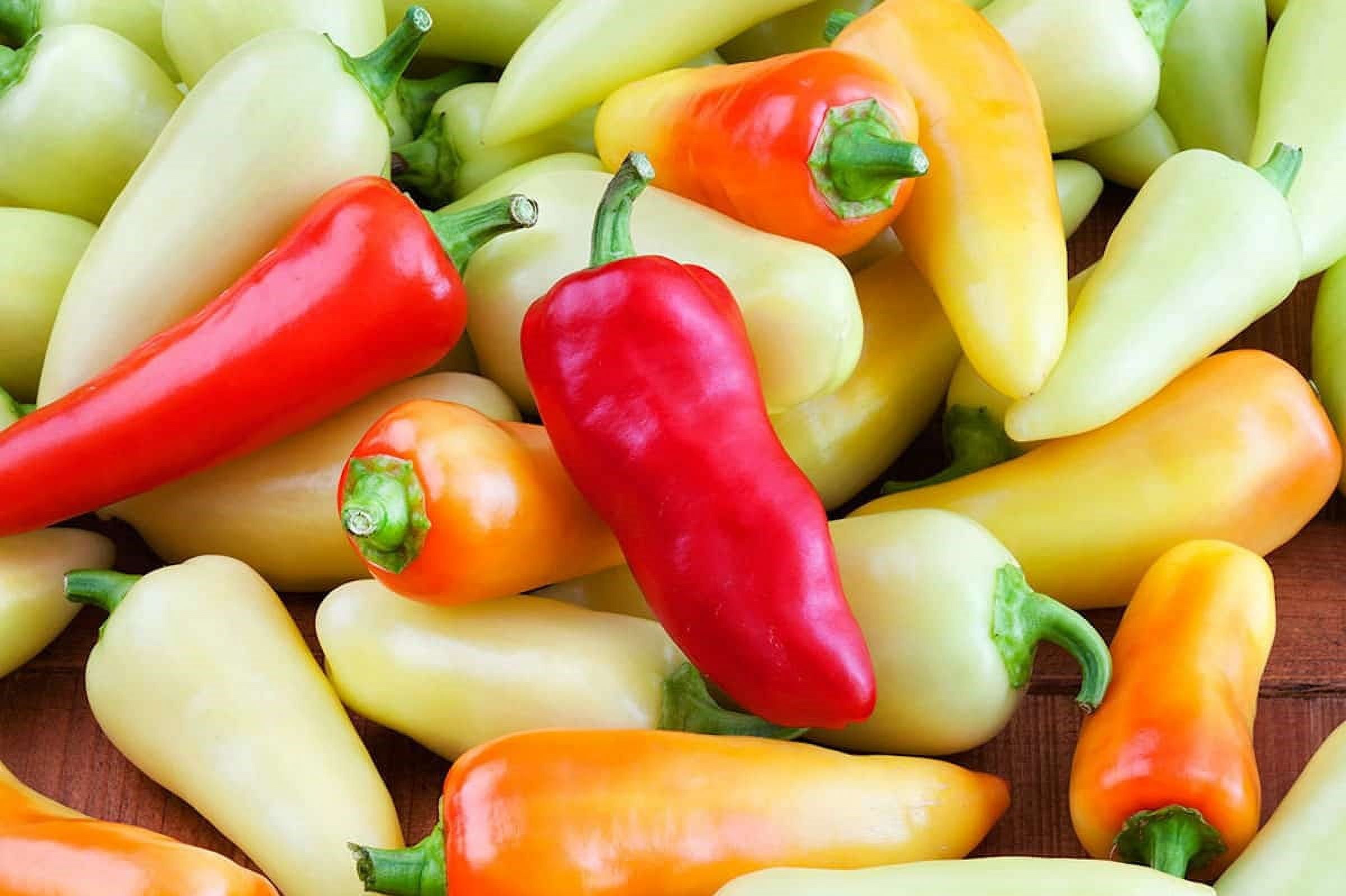 Santa Fe Pepper Seeds - 200 Count Seeds - Santa Fe Grande Will Produce ...