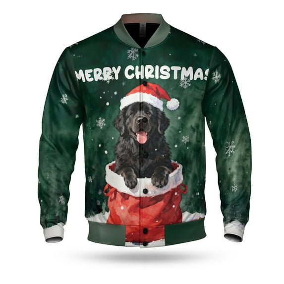 Santa Surprise Gift Newfoundland Merry Cheerful Christmas All Over ...