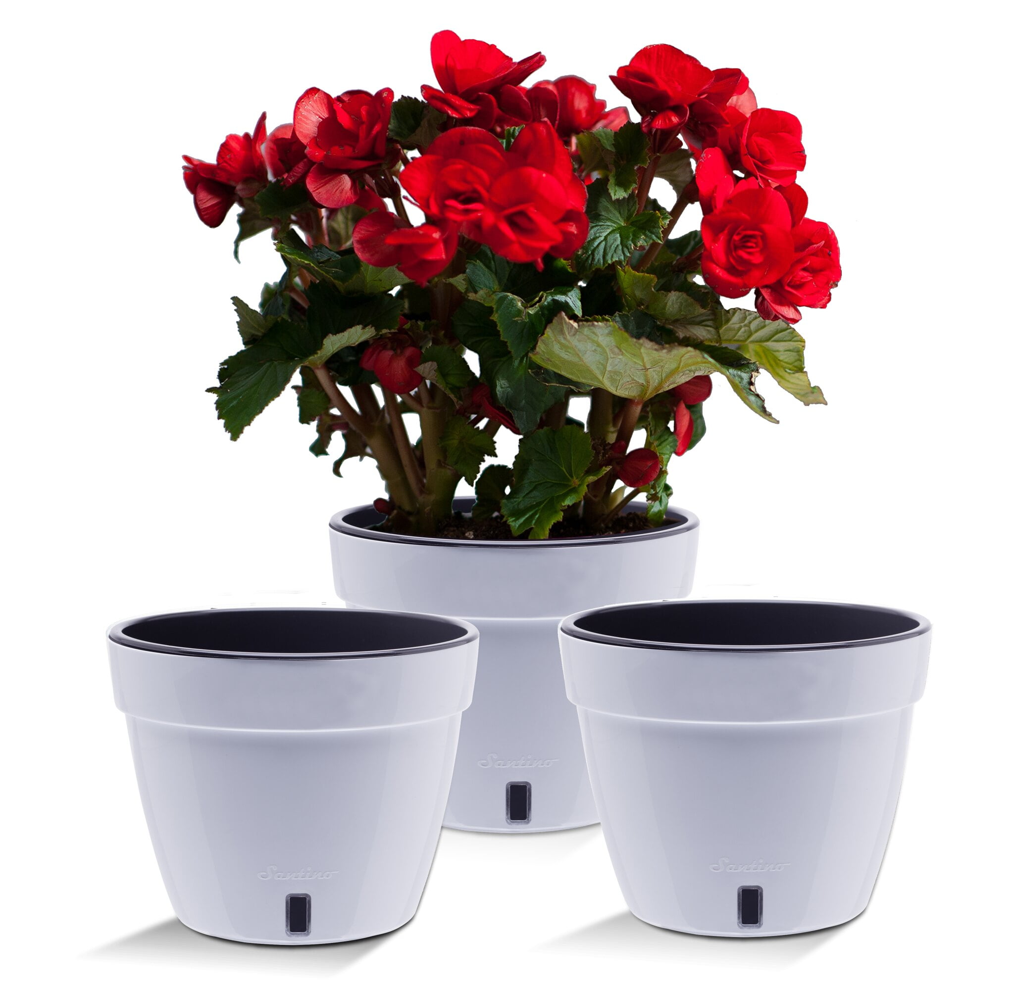 🪴 Santino ASTI 11.8 Inch Self Watering Planters WHITE/BLACK (Set of 3 ...