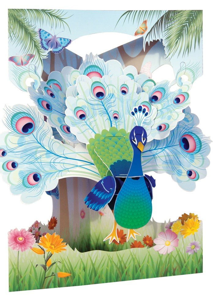 Santoro Interactive 3D Swing Greeting Card, Peacock - Walmart.com