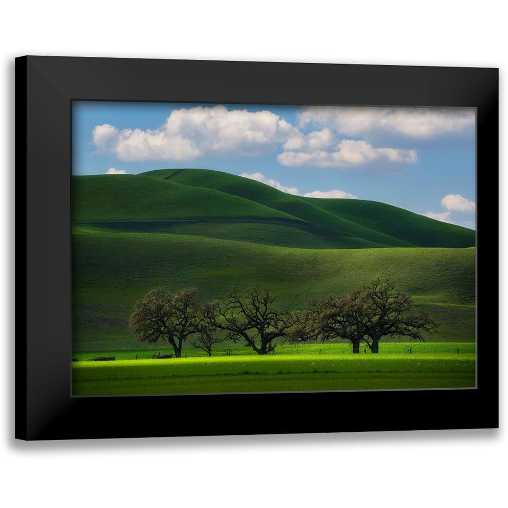 Sapkal, Tanmay 14x11 Black Modern Framed Museum Art Print Titled - Bliss - Walmart.com